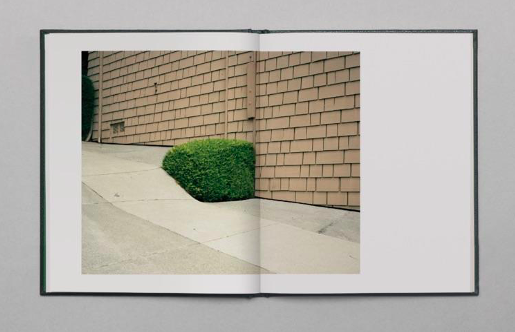 Ezra Feinberg : Soft Power | TURN