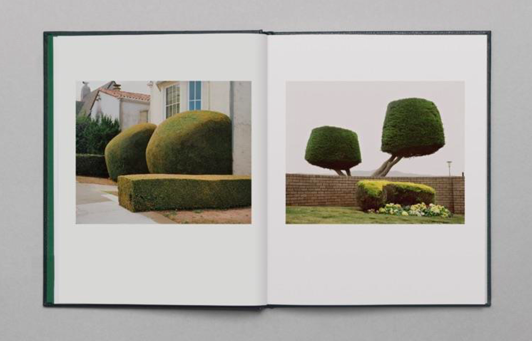 Ezra Feinberg : Soft Power | TURN